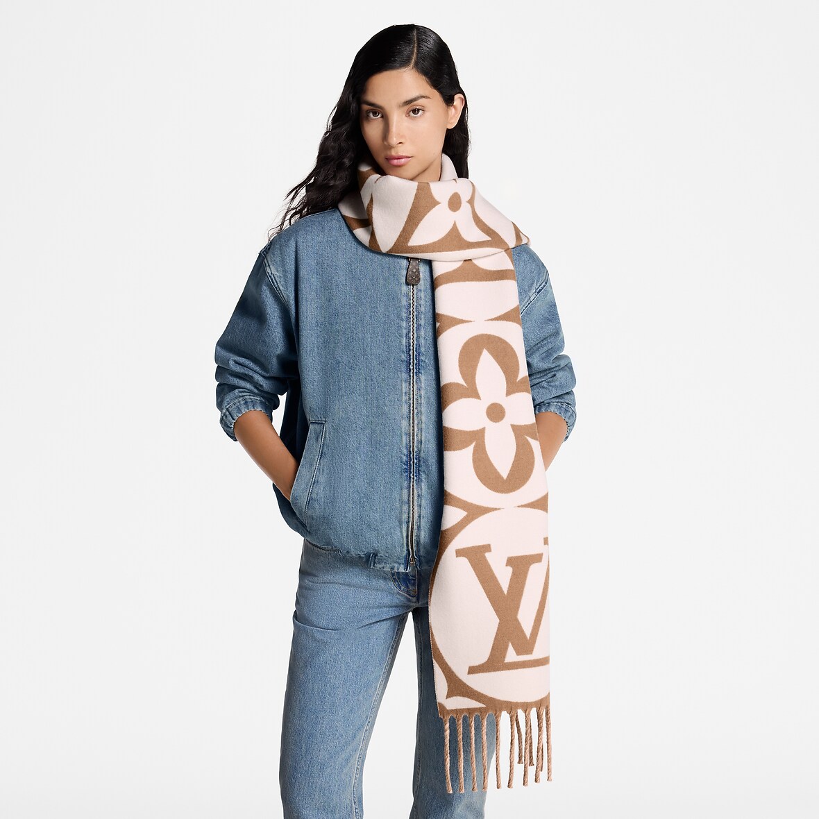 Sciarpa LV Medallion S00 - Accessori | LOUIS VUITTON